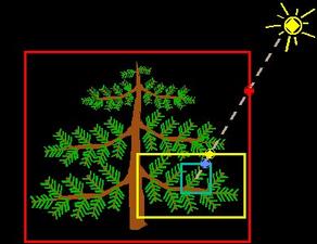 Interactive Rendering of Trees with Shading and Shadows
